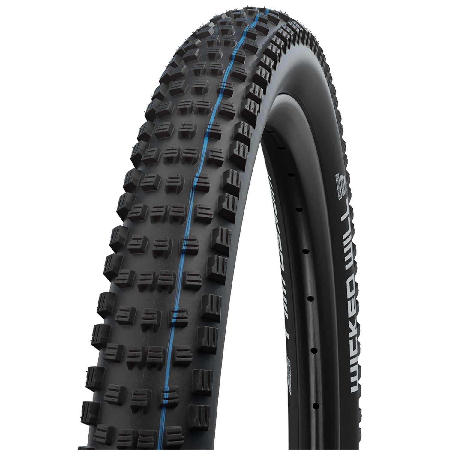 Schwalbe Wicked Will Addix SpeedGrip Super Ground TLE Evolution Folding ...