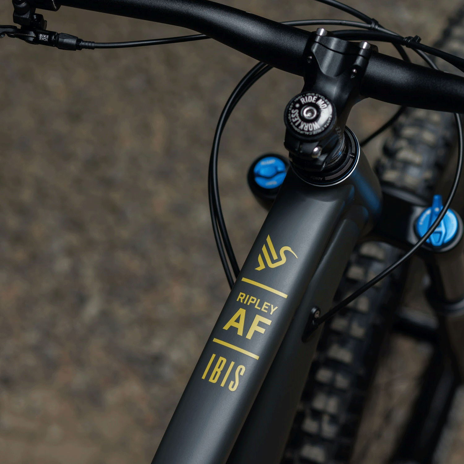 Ibis Ripley AF Deore Mountain Bike - 2023 | Merlin Cycles