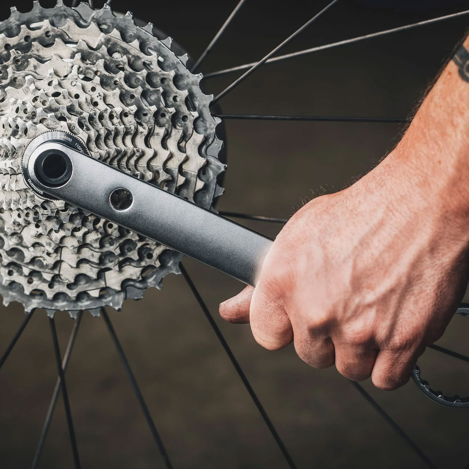 Feedback Sports Bottom Bracket + Lockring Tool | Merlin Cycles