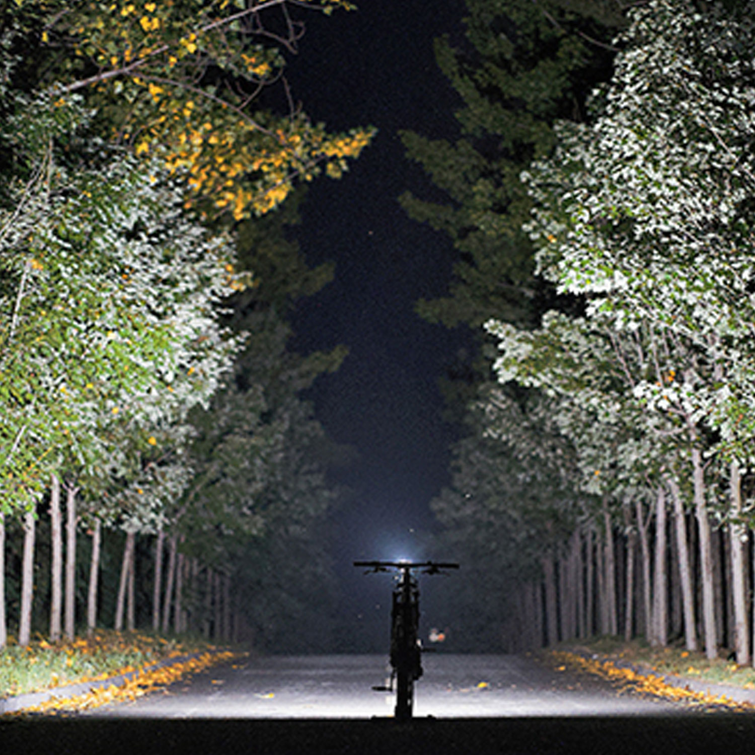 Ravemen XR6000 Wireless Switch MTB Front Headlight | Merlin Cycles