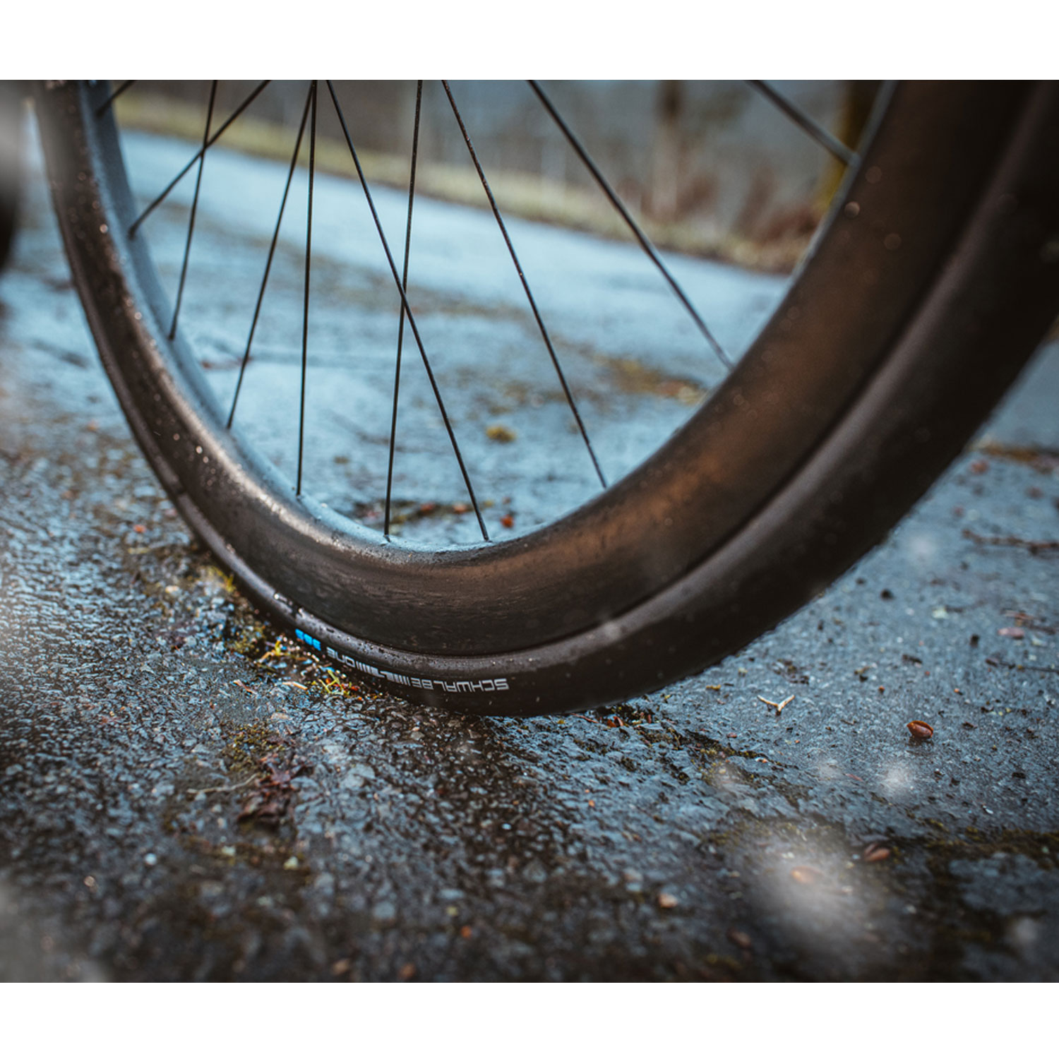 Schwalbe One 365 Performance Folding Road Race Tyre - 700c | Merlin Cycles