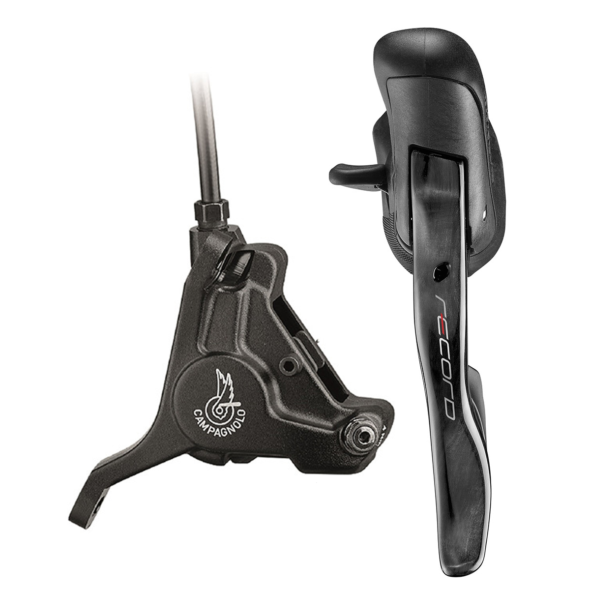 Campagnolo Record Ergopower Disc Ultra Shift Levers - 12 Speed | Merlin ...