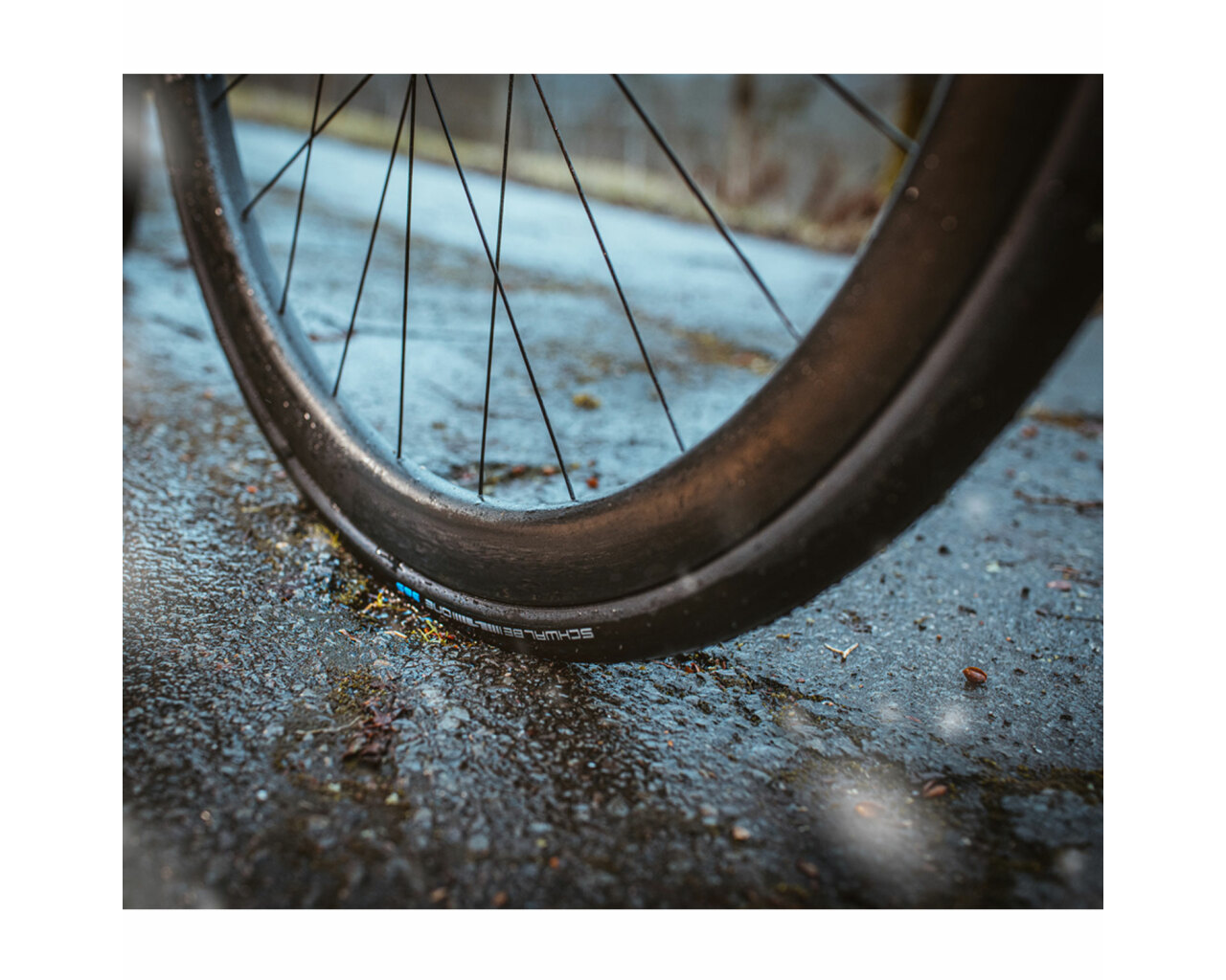 Schwalbe One 365 Performance Folding Road Race Tyre - 700c | Merlin Cycles