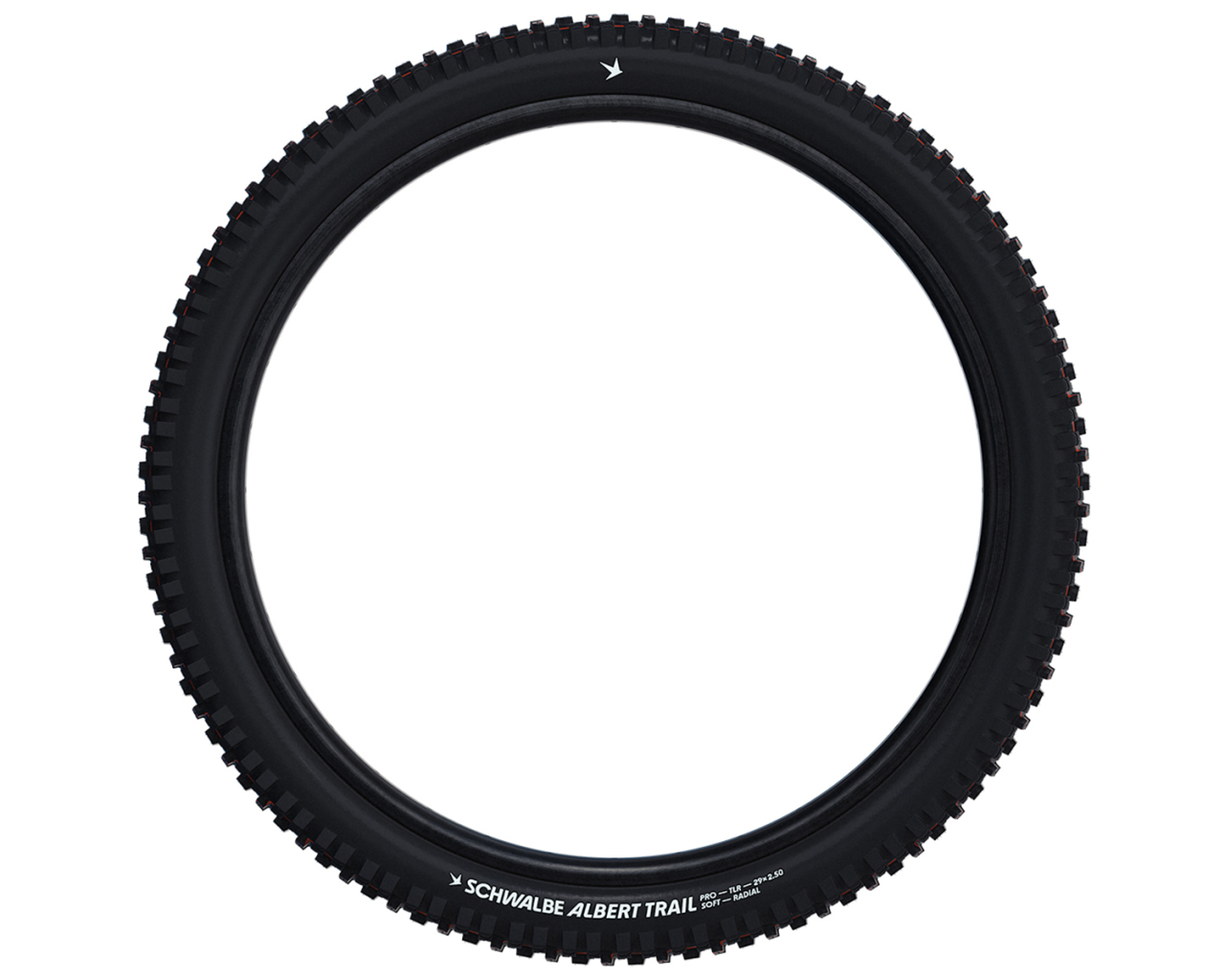 Schwalbe Albert Trail Pro Radial Ultra Soft Folding MTB Tyre - 29 ...