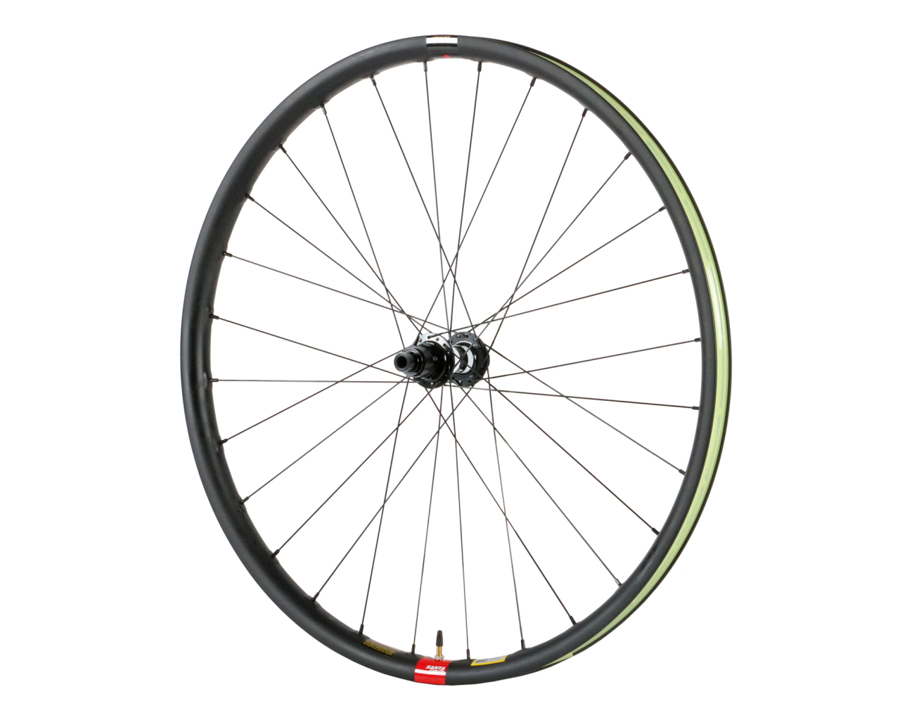 Reserve 25 DT Swiss 350 Rear Wheel - 29"
