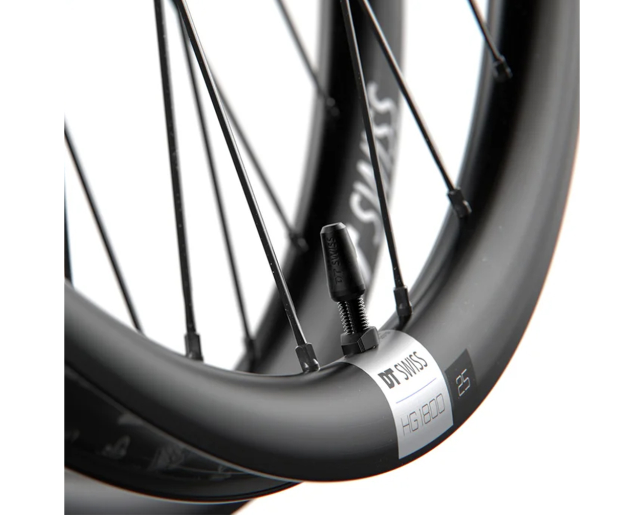 DT Swiss HG 1800 Spline Disc Gravel Rear Wheel - 700c | Merlin Cycles