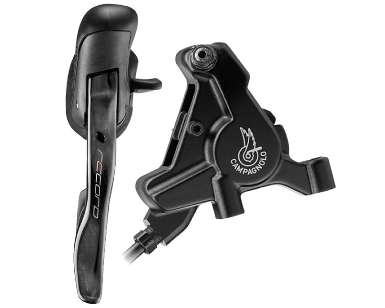 Campagnolo Record Ergopower Disc Ultra Shift Levers - 12 Speed | Merlin ...