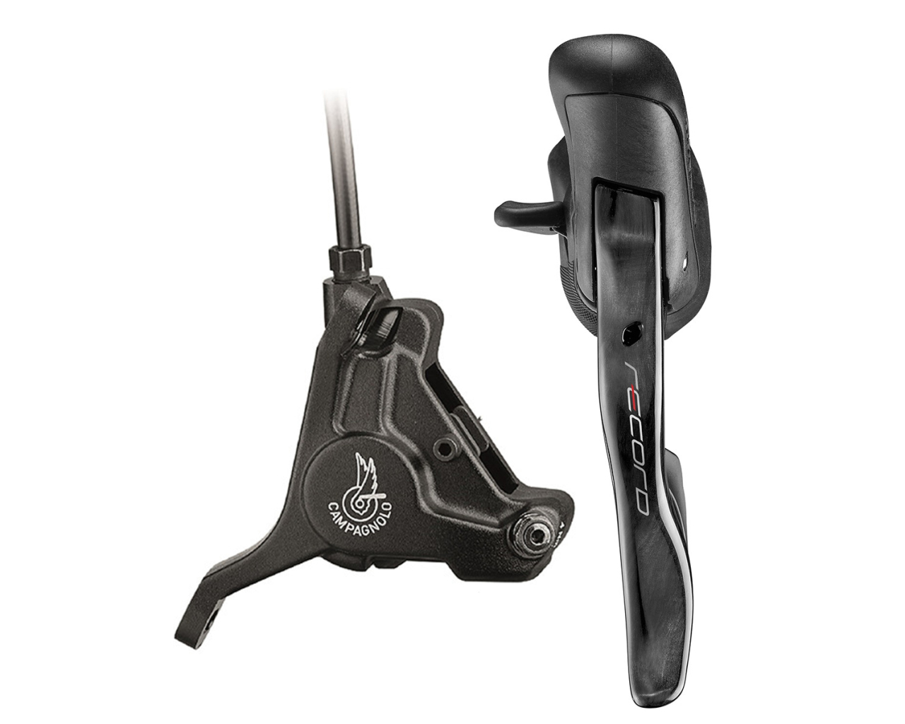 Campagnolo Record Ergopower Disc Ultra Shift Levers - 12 Speed | Merlin ...